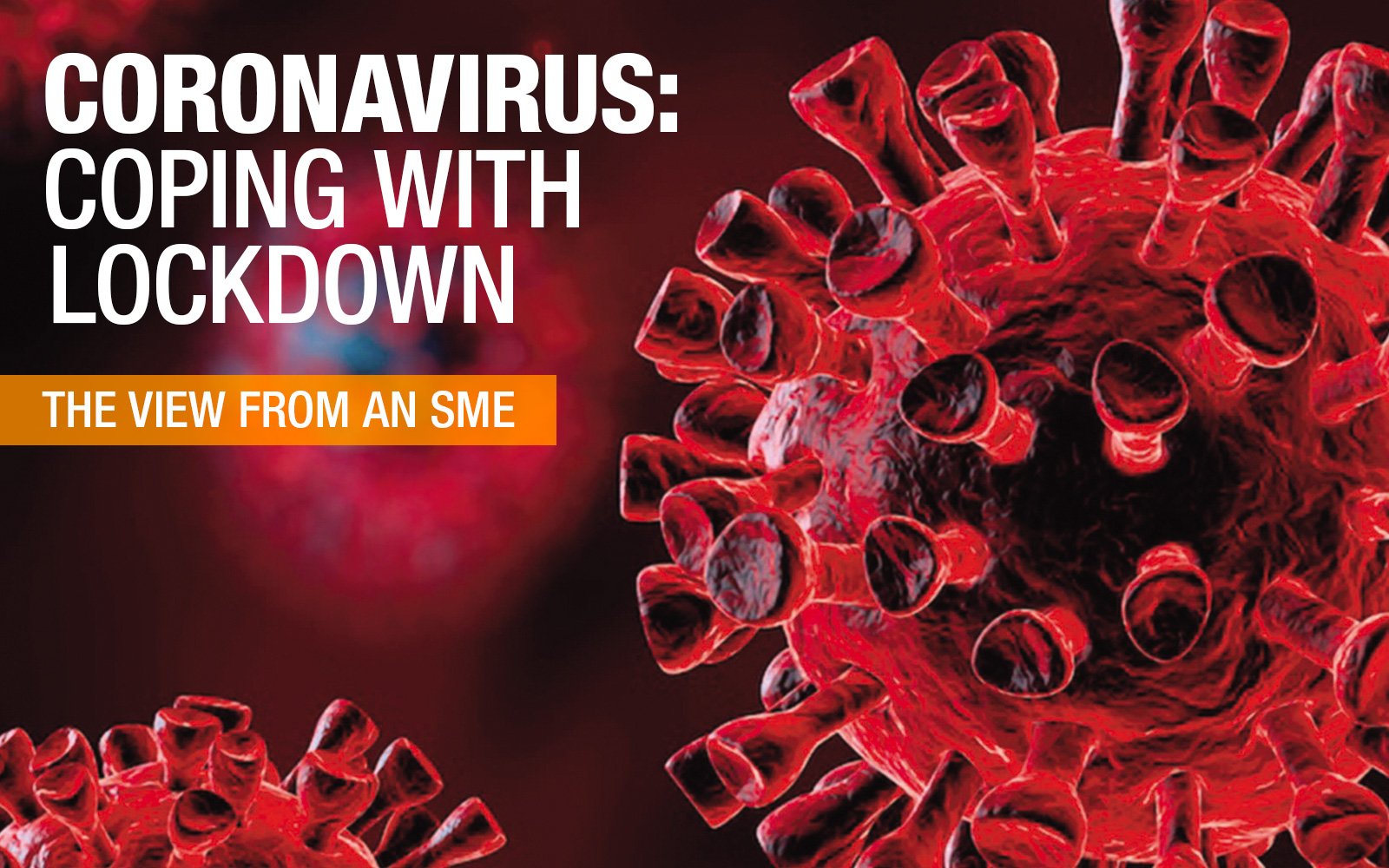 Coronavirus: Coping with Lockdown | Hadland Imaging